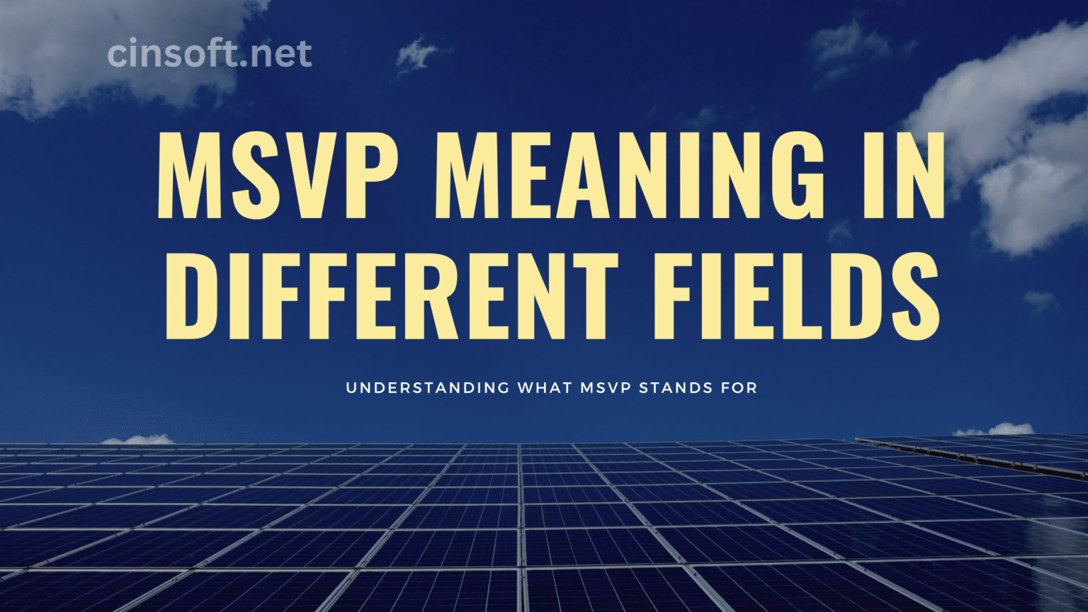 MSVP Meaning in Different Fields