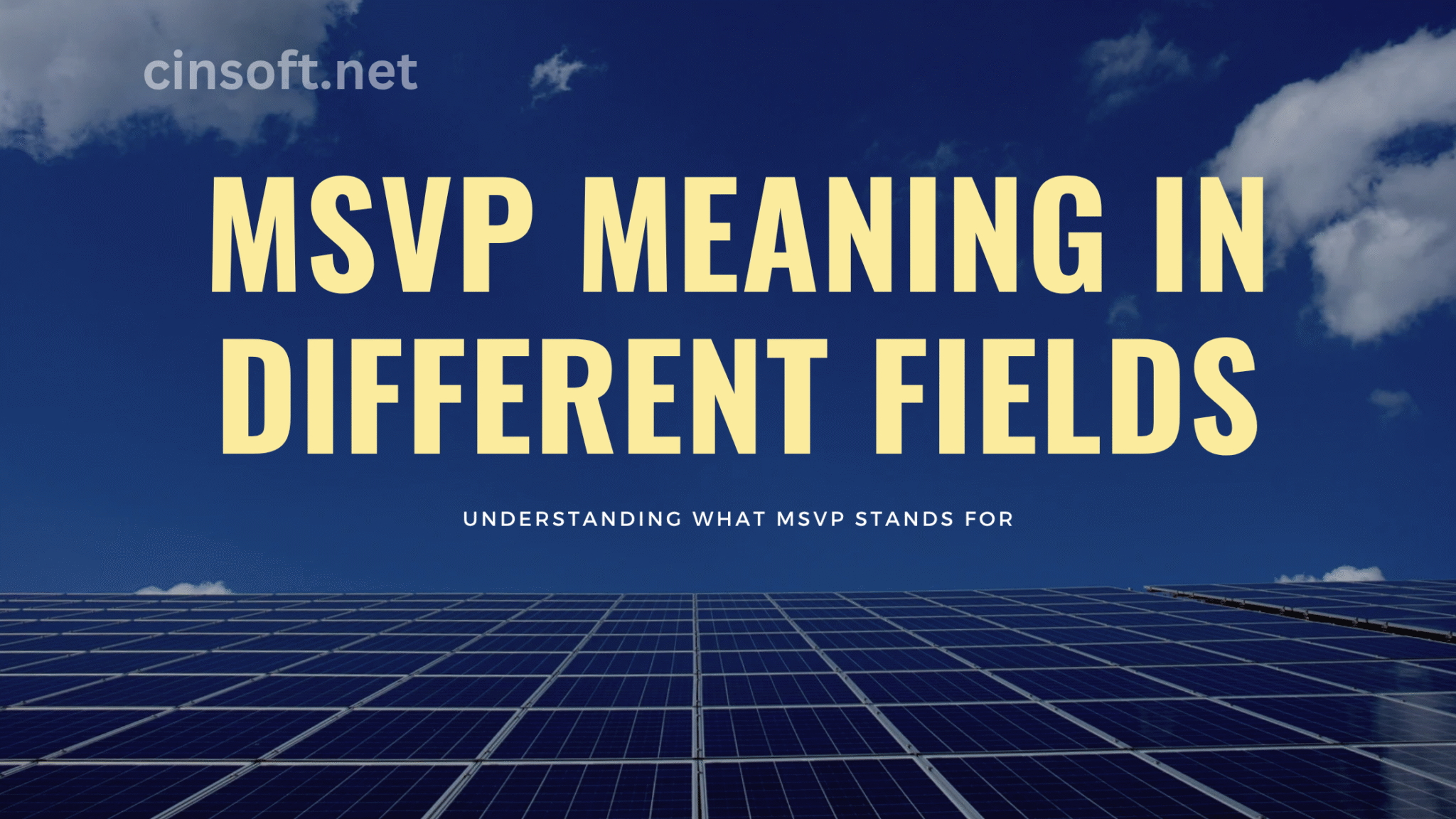 MSVP Meaning in Different Fields